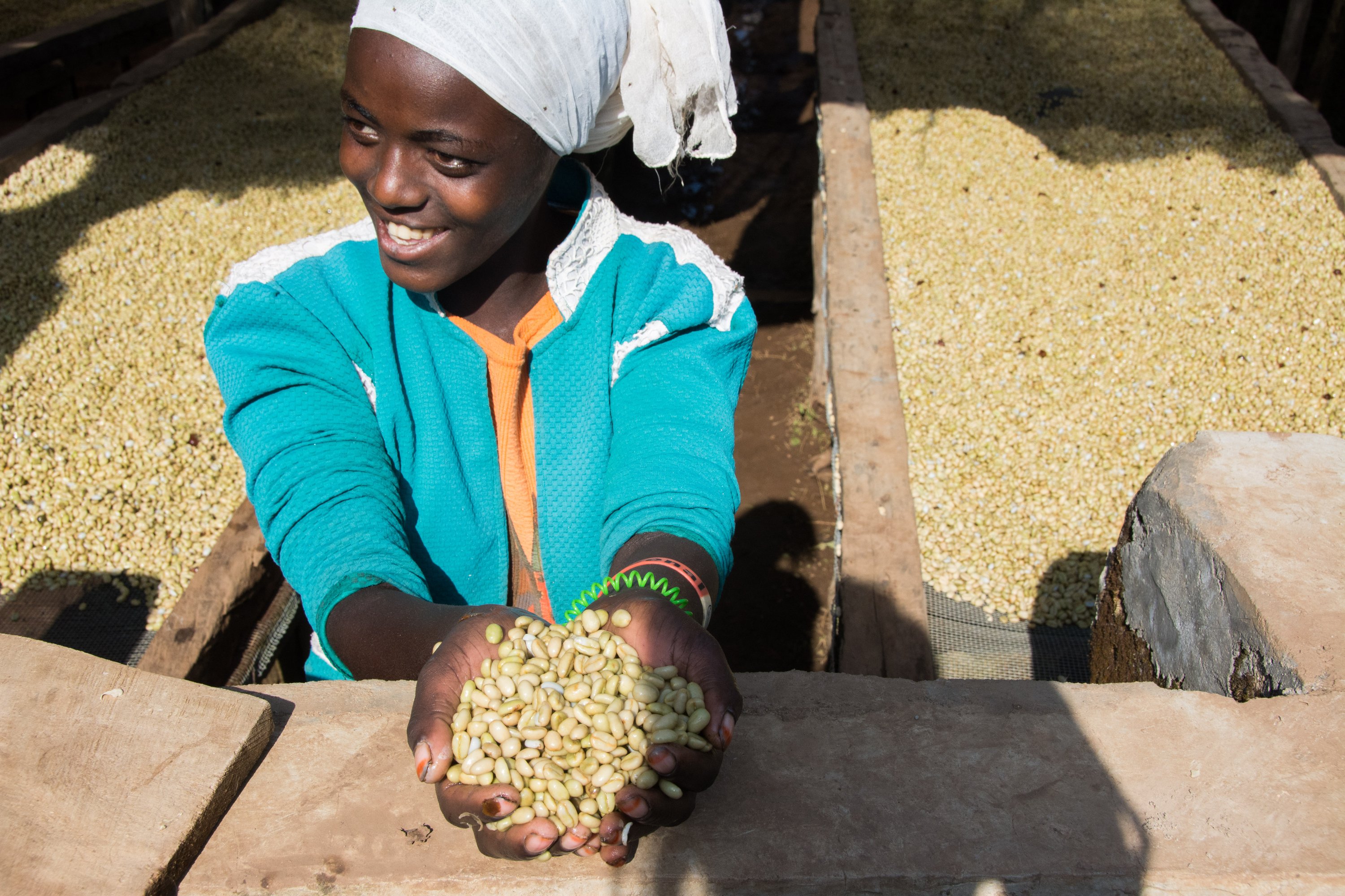 Why Green Grading Matters for Your Coffee